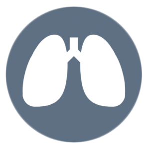 SomnoSuite - APAC Scientific