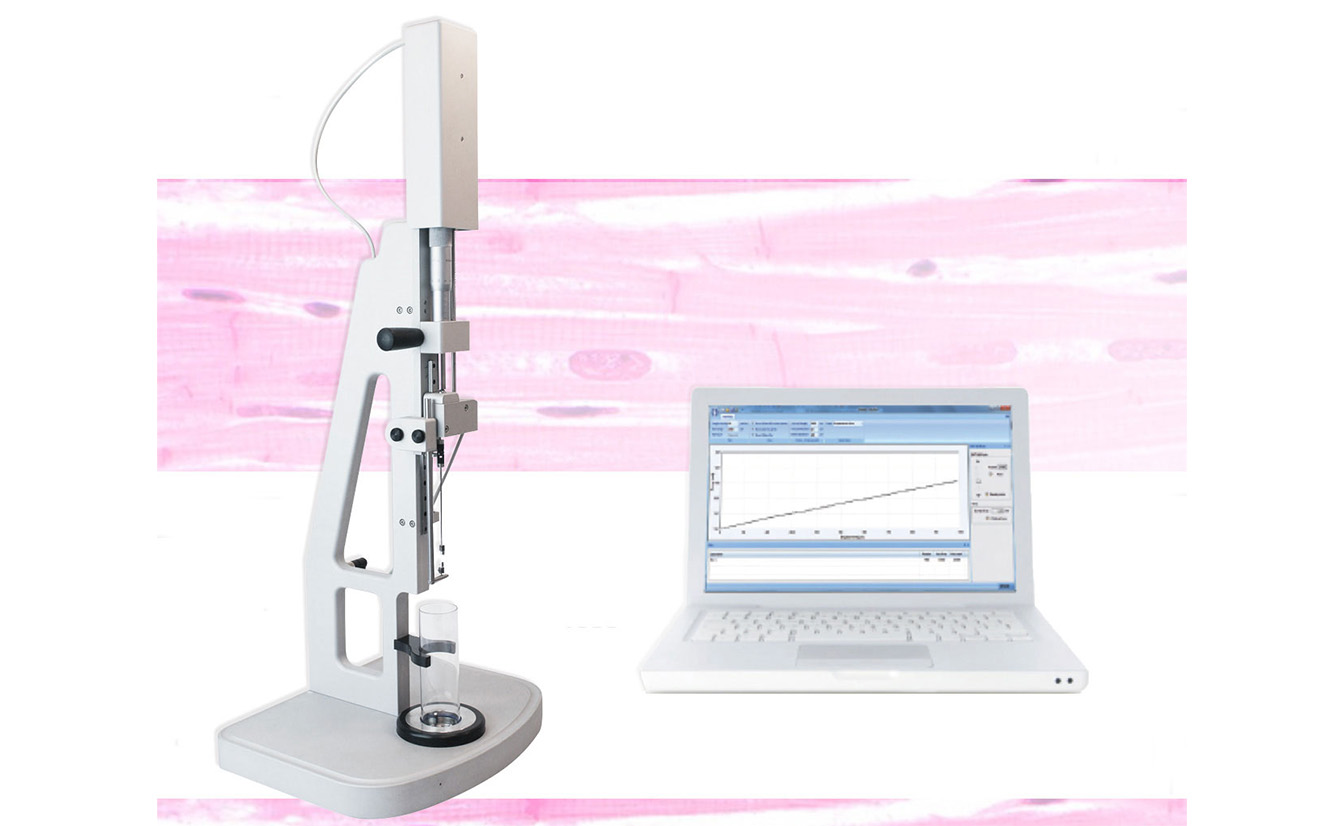 Breaking New Ground: Visualizing Tensile Strength of Natural and ...